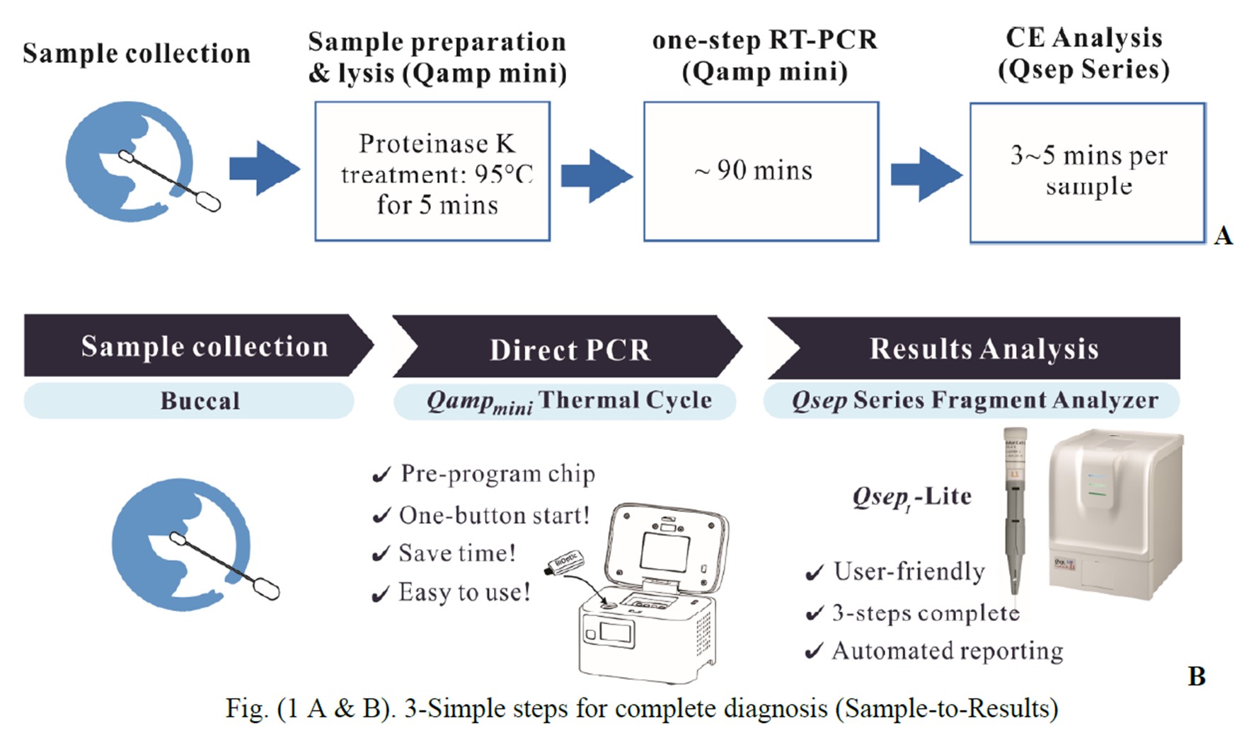 Direct SARS-CoV-2 Detection System Utilizing Simple-to-Use Capillary ...